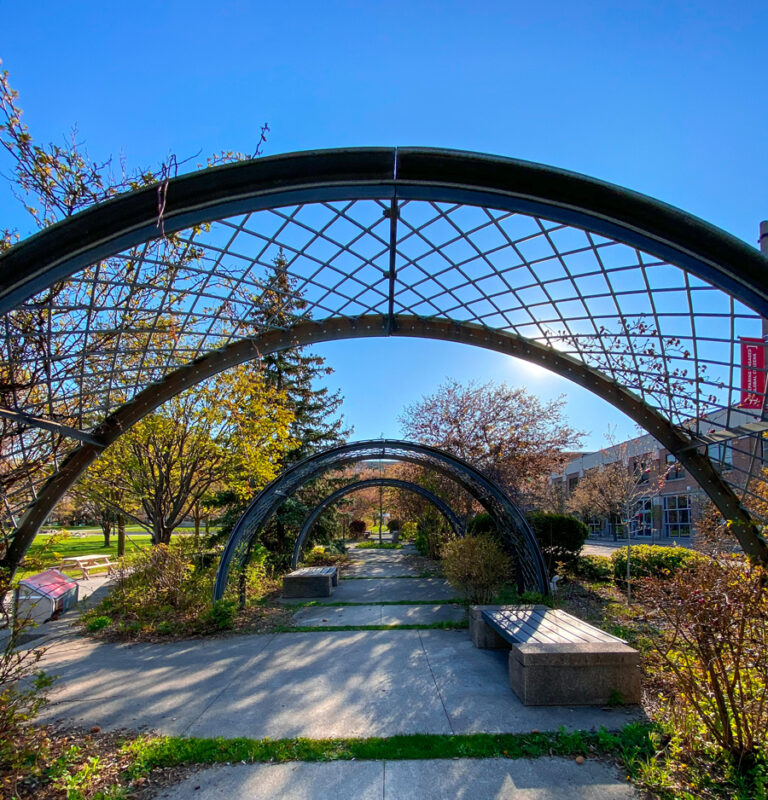 Exploring Neighbourhoods: York Region Edition – TRREB