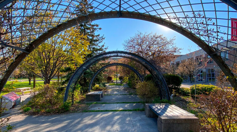 Exploring Neighbourhoods: York Region Edition – TRREB